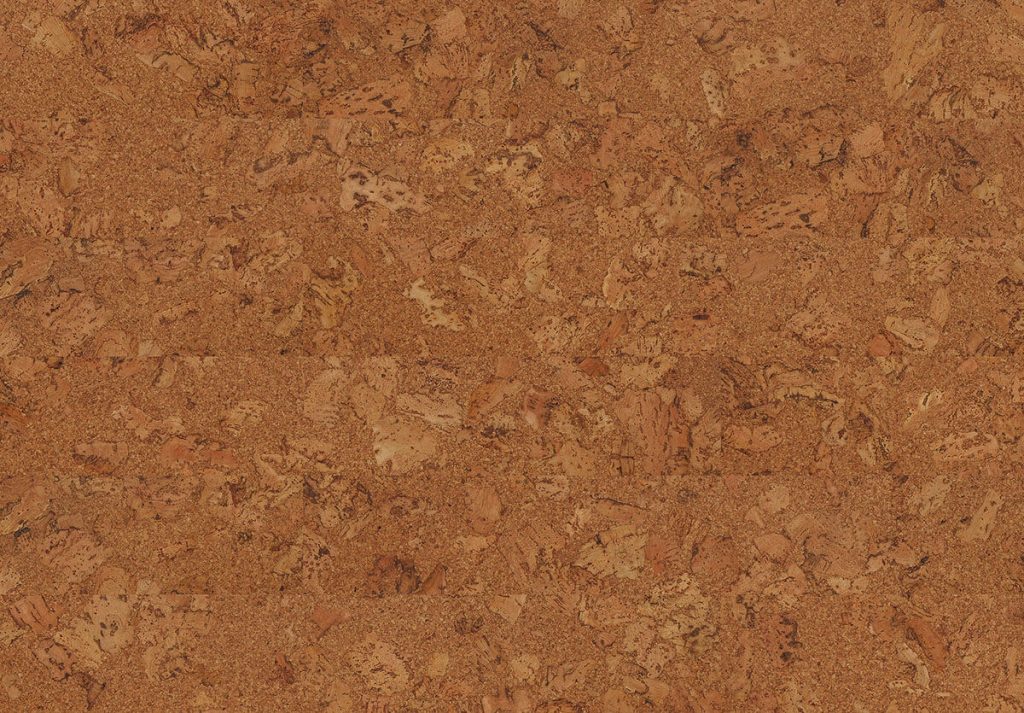 Originals Shell | Carpet Plus Flooring & Home